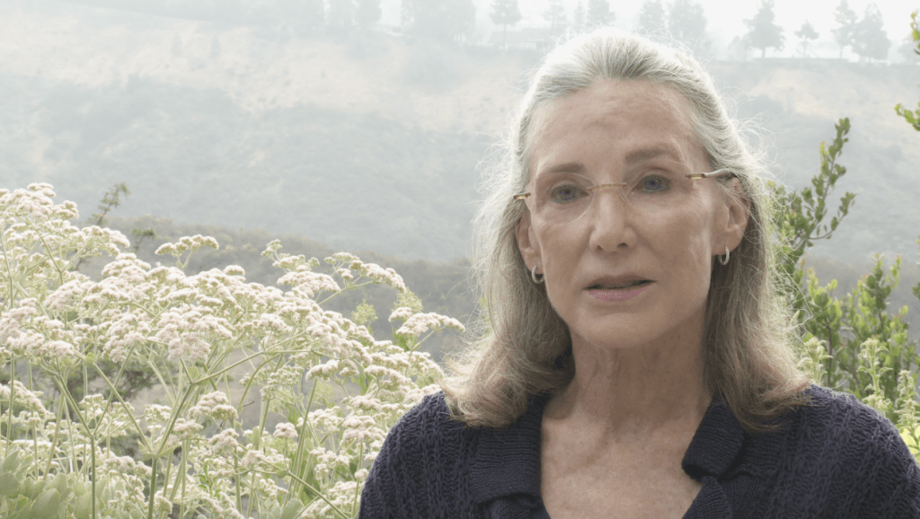 About – a documentary film about P22 mountain lion