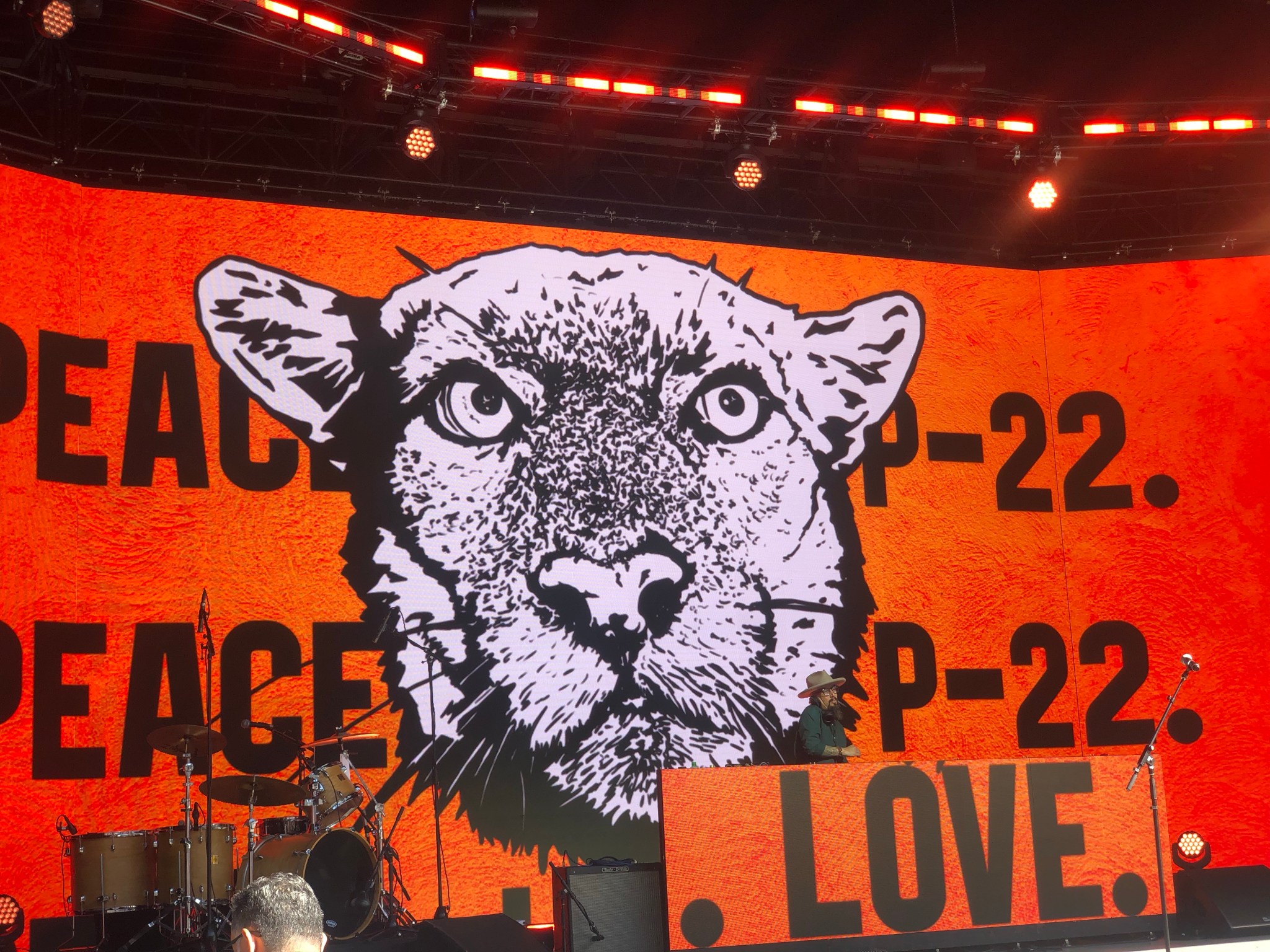 a documentary film about P22 mountain lion