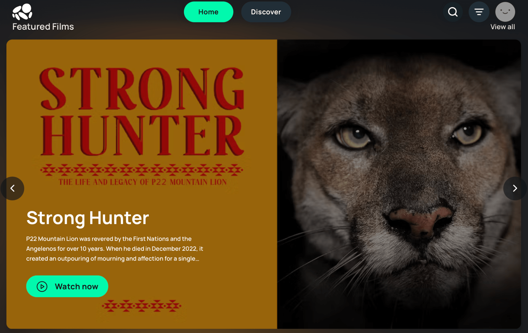 a documentary film about P22 mountain lion